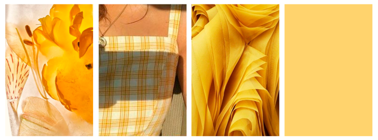 Verão 2025: Tendências e Cores que Vão Dominar a Estação! - Blog Pittol